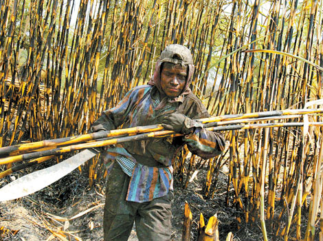 La "MexiCoke"- Grupo Milenio