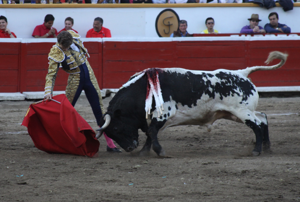 Triunfa "El Payo" en el Relicario; "El Juli" y Ochoa, con las manos ...