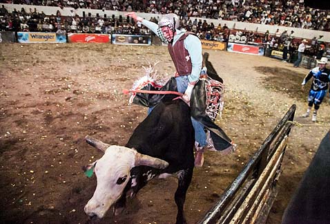 Rodeo “Cuernos Chuecos” en la Feria Internacional Ecuestre- Grupo Milenio