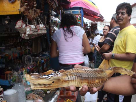 Juancho “se come” a la Jaiba- Grupo Milenio