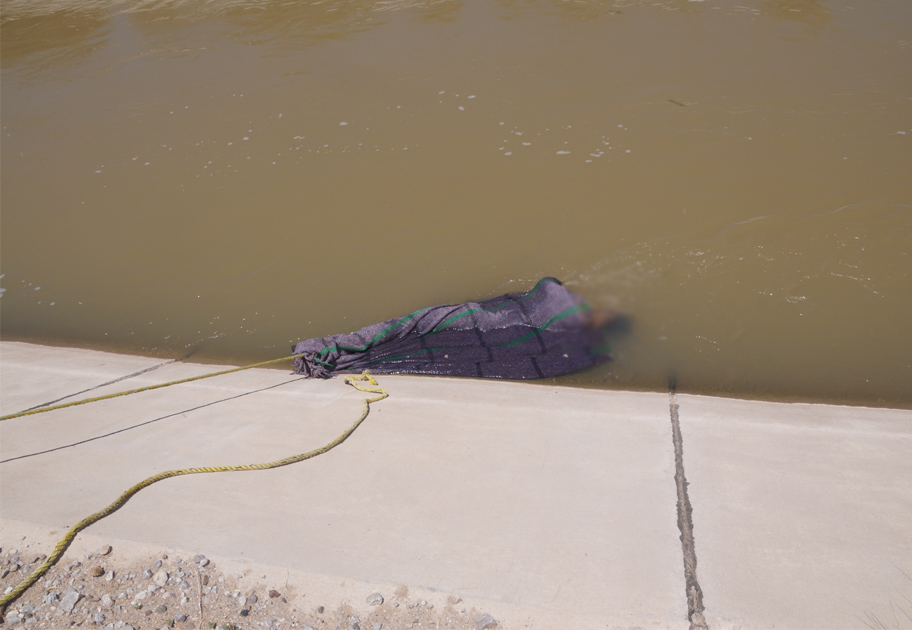 Encuentran cadáver encobijado en canal de riego- Grupo Milenio