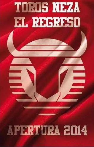 Toros Neza jugará en Segunda División- Grupo Milenio