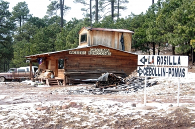La Rosilla, Durango, registró 10 grados bajo cero- Grupo Milenio