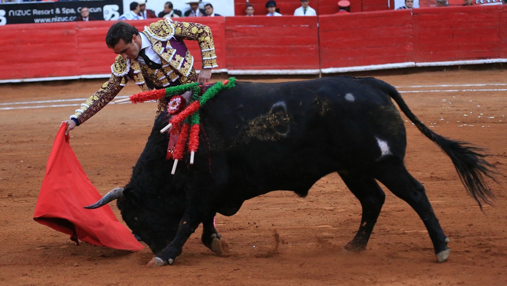 Indulto del Fandi - Grupo Milenio