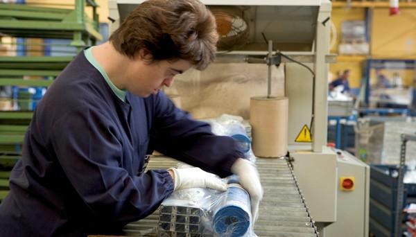 Sector empresarial frena discapacitados: Valpar- Grupo Milenio