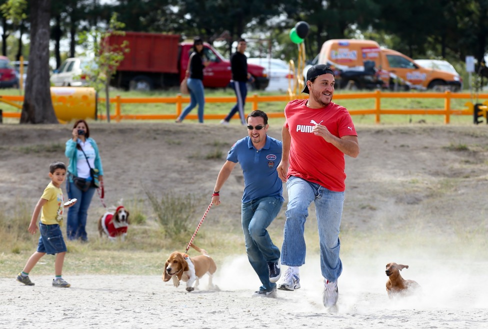 Perros celebran posada en MetroCan- Grupo Milenio