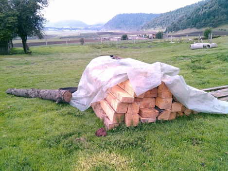 Asegura Profepa más de 26 mil metros cúbicos de madera en Morelos ...