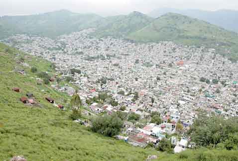 Plantan 2 mil árboles en el parque Ehécatl- Grupo Milenio