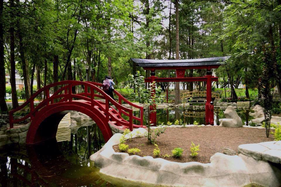 Parque Masayoshi Ohira, el jardín con estilo japonés en CdMx- Grupo Milenio