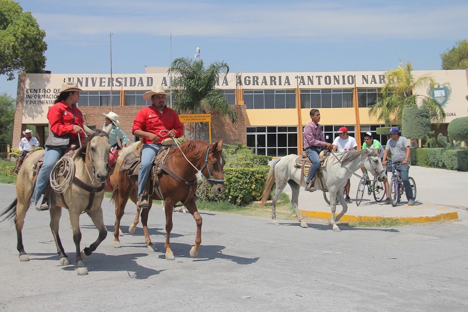 Celebran 400 jinetes la Cabalgata de la UAAAN- Grupo Milenio