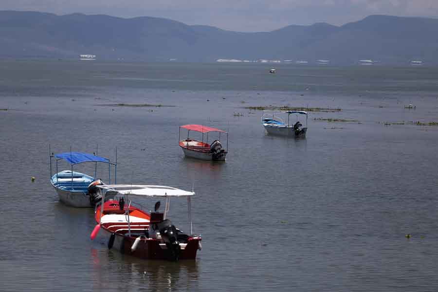 Lago de Chapala iguala nivel máximo del año pasado- Grupo Milenio