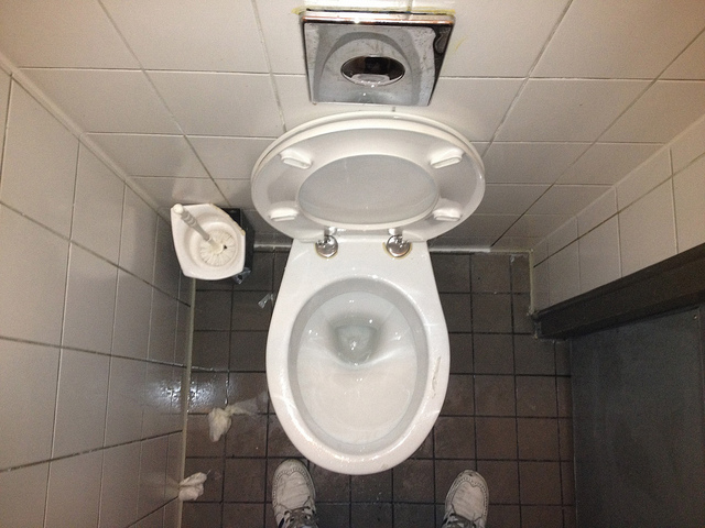 Lo que debes saber del Día Internacional del Escusado- Grupo Milenio