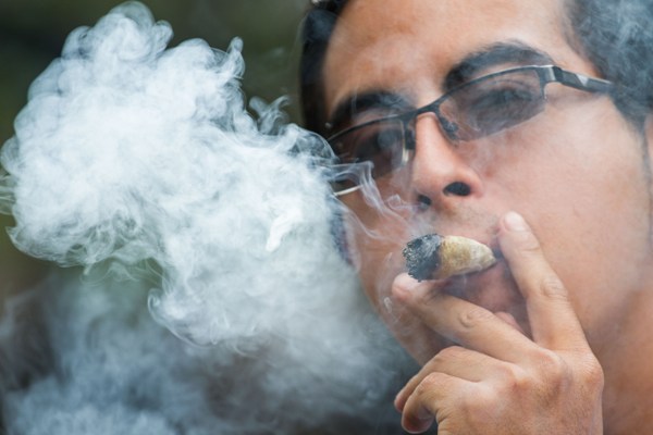 Por qué sí legalizar la mariguana- Grupo Milenio