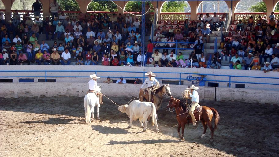 Comienza la fiesta charra en honor a Don Salvador Álvarez- Grupo Milenio