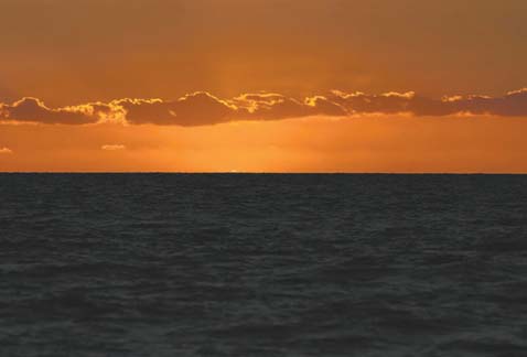 Destello Verde- Grupo Milenio