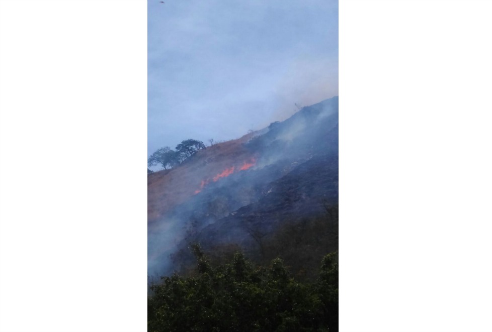 ‘El Colibrí’ combate incendio en el Cerro del Colli- Grupo Milenio