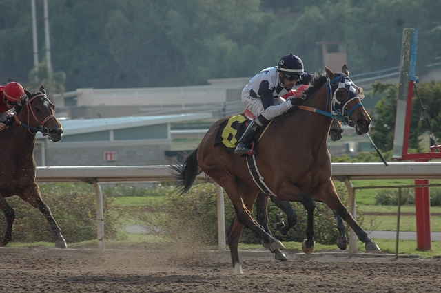 Famous V los madrugó - Grupo Milenio