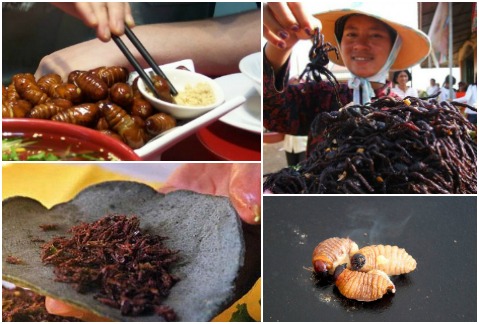 Viscosos, pero sabrosos: bichos que se comen en el mundo- Grupo Milenio