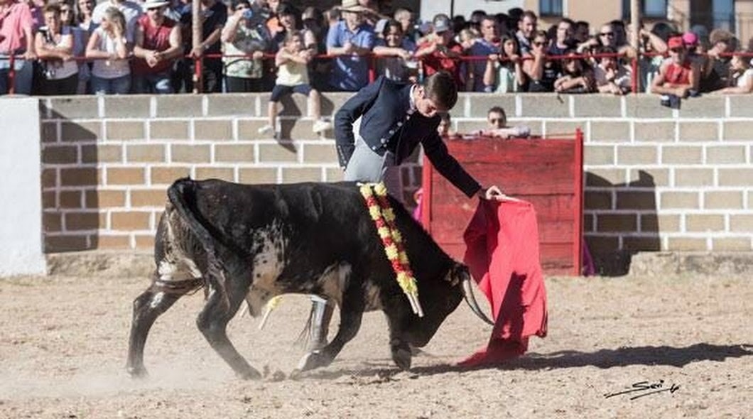 Arturo Gilio Jr. hará su debut como novillero en España- Grupo Milenio