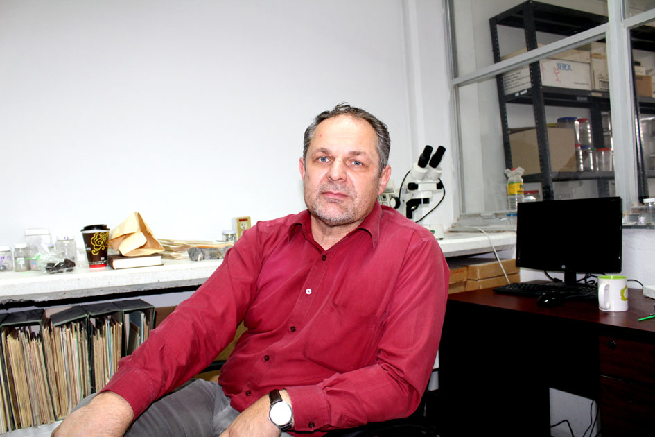 Descubren diente de mamut en Durango - Grupo Milenio