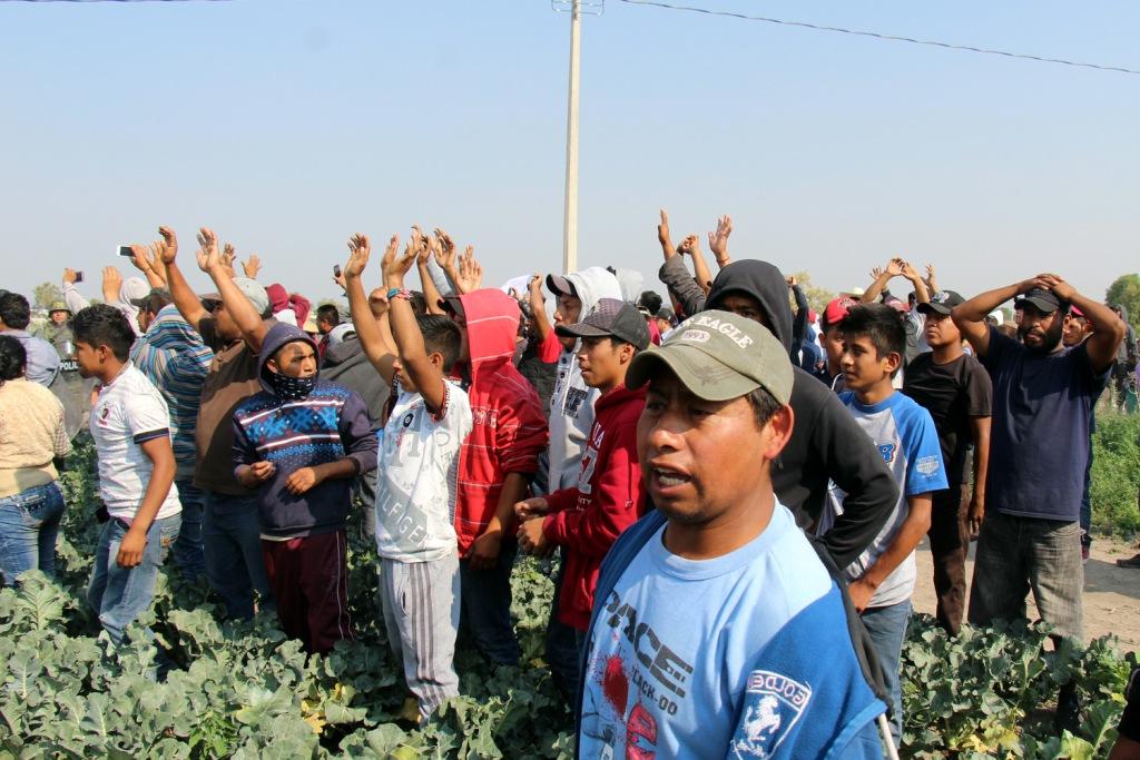 ‘Negros’ y ‘Marranos’, las bandas más sanguinarias- Grupo Milenio