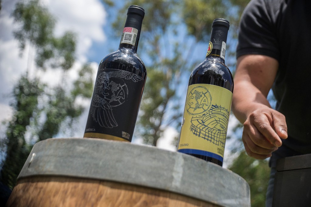 América presenta su línea de vino- Grupo Milenio