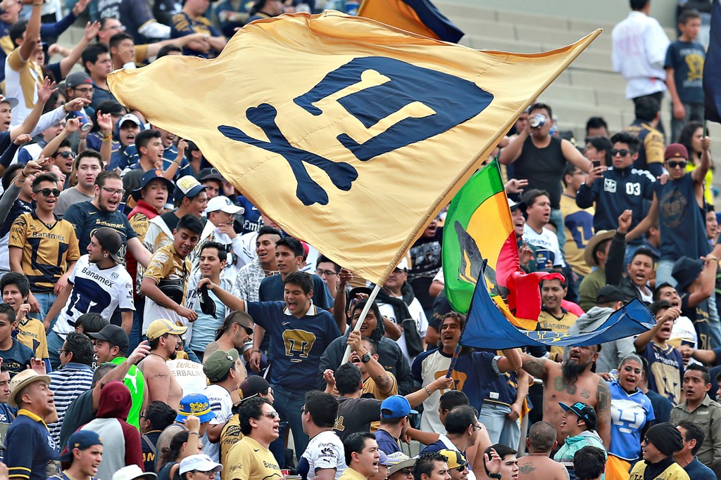 “No son amenazas, pero estamos hasta la madre”: ‘La Rebel’- Grupo Milenio