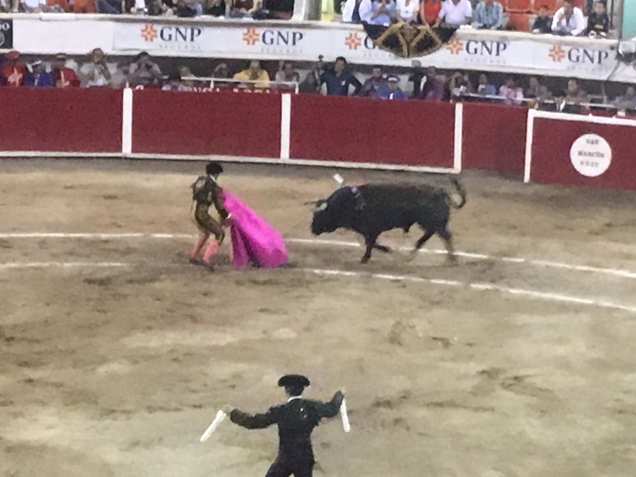 Festival de las Calaveras festeja con corrida de toros - Grupo Milenio
