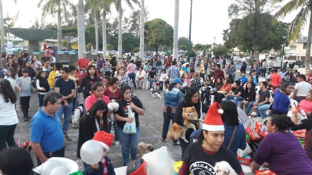 Realizan posada para 400 mascotas- Grupo Milenio