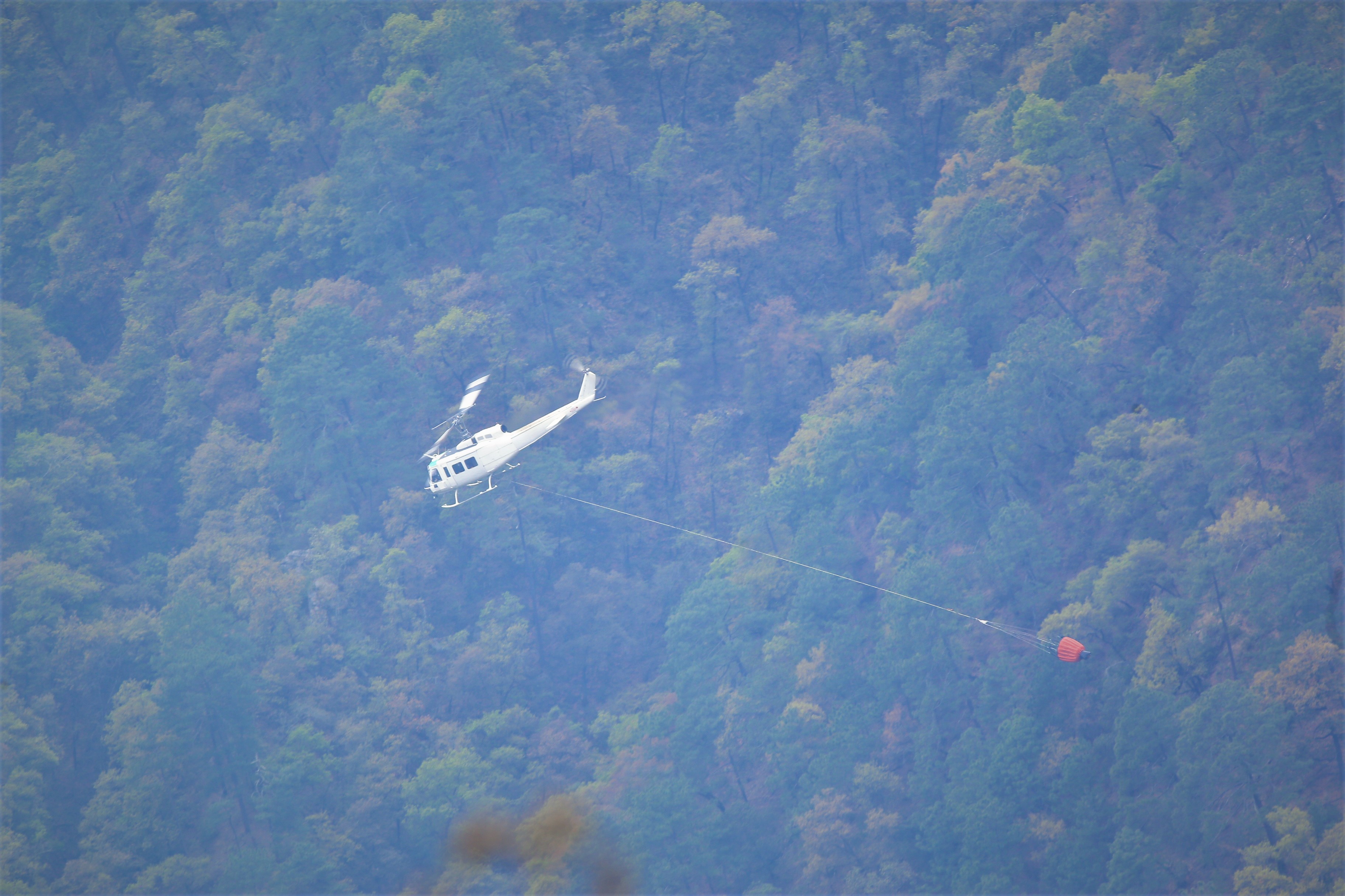 Noticias de Incendios en Coahuila en Milenio - Grupo Milenio