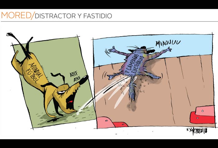 Distractor y fastidio - Grupo Milenio
