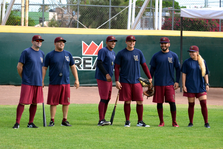 Algodoneros no paran en su preparación - Grupo Milenio