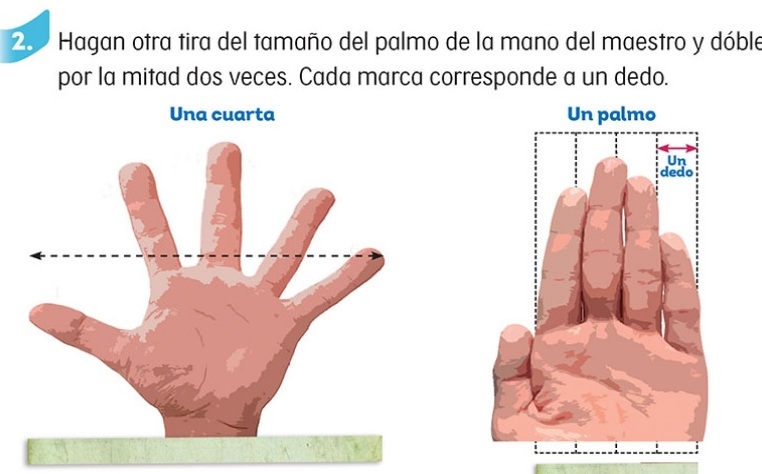 SEP corrige libro de texto y mano vuelve a tener 5 dedos- Grupo Milenio