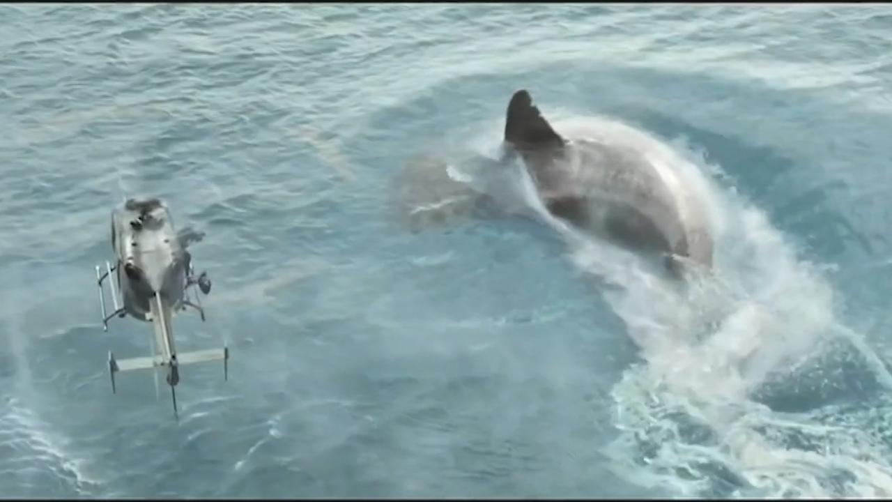 Política Cero, con Jairo Calixto Albarrán. El Estrenón: The Meg ...