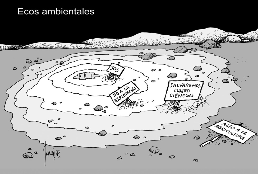 ECOS AMBIENTALES - Grupo Milenio