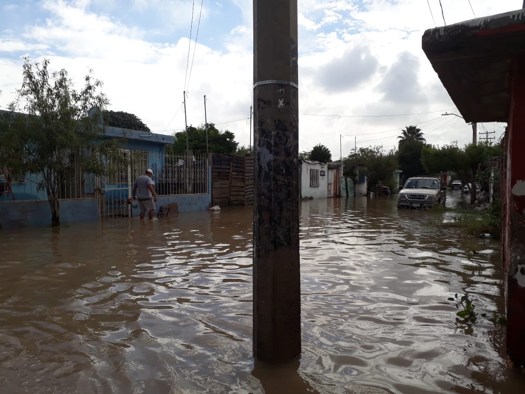 Ocho mil damnificados y 50 colonias inundadas en Torreón- Grupo Milenio