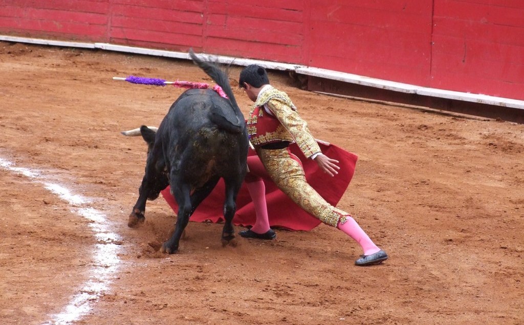 Gran novillo de San Antonio de Padua - Grupo Milenio