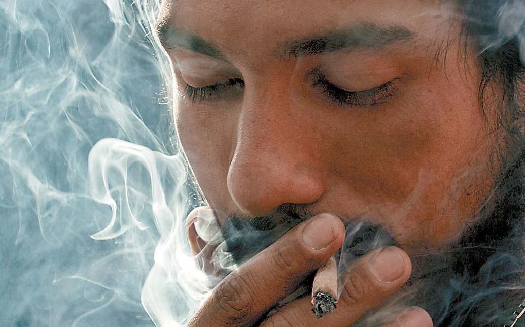 Corte: con amparo, cultivo y uso recreativo de la mota- Grupo Milenio