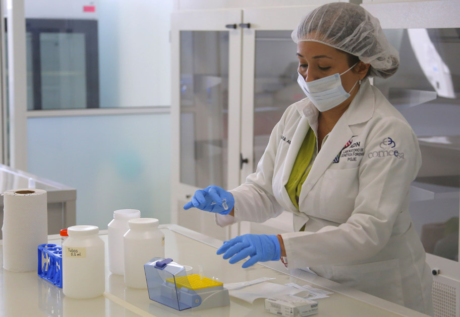 Laboratorio de Ciencia Forense en etapa final de certificación- Grupo ...