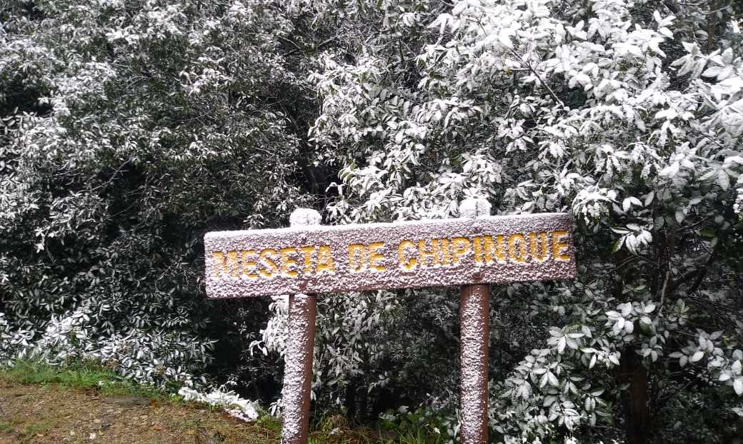 Cae nieve en Chipinque- Grupo Milenio