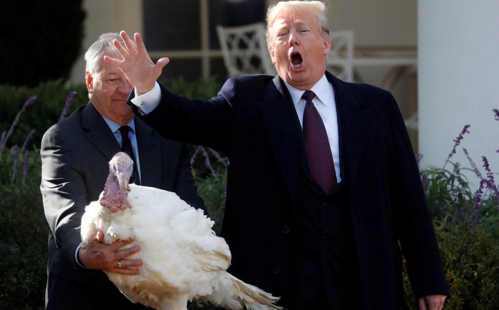 Trump perdona a pavos por Día de Acción de Gracias- Grupo Milenio