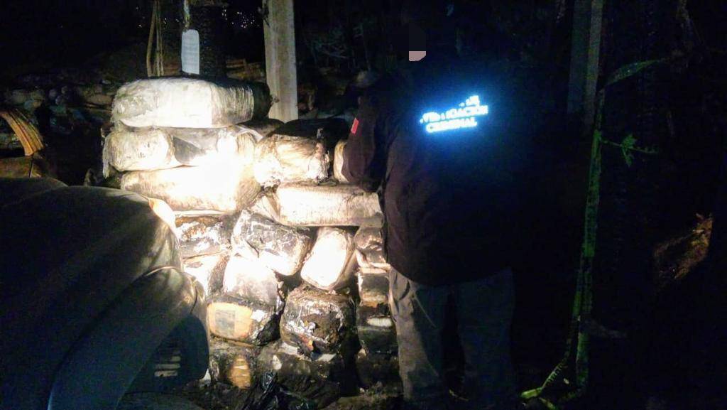 Pgr Asegura Más De Una Tonelada De Mariguana En Tijuana Grupo Milenio