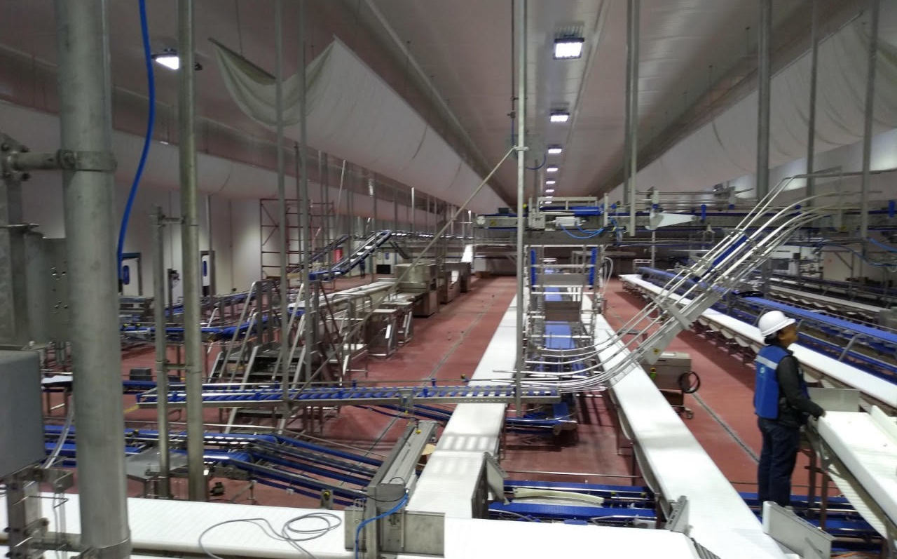 Granjas Carroll de México prepara Rastro tipo TIF en Puebla- Grupo Milenio