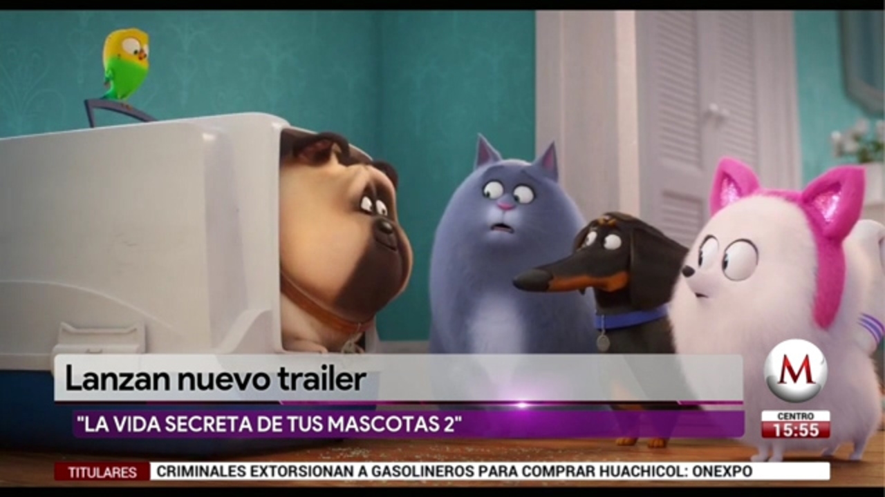 'The Secret Life Of Pets 2' enseña modales felinos en su nuevo tráiler ...