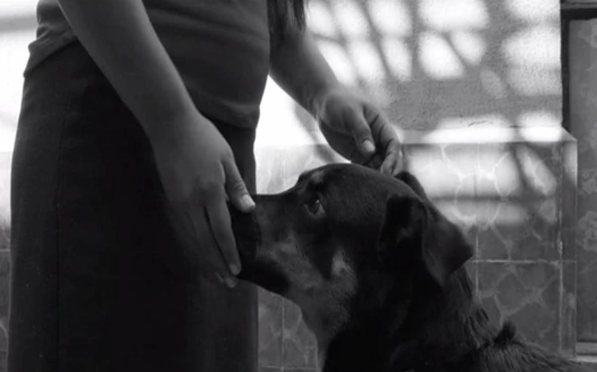 Roma: La cumbia de El borras llegará al Vive Latino 2019- Grupo Milenio