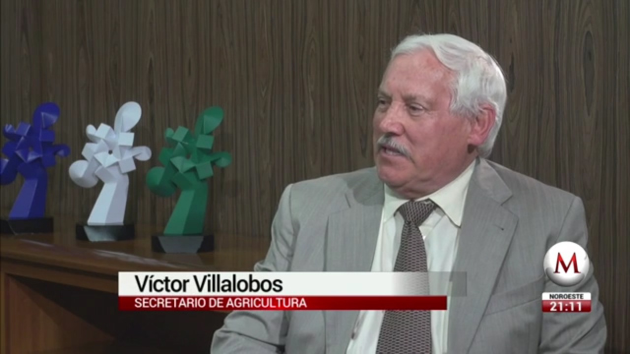 Entrevista a Víctor Villalobos. Políticas públicas para rescate del ...