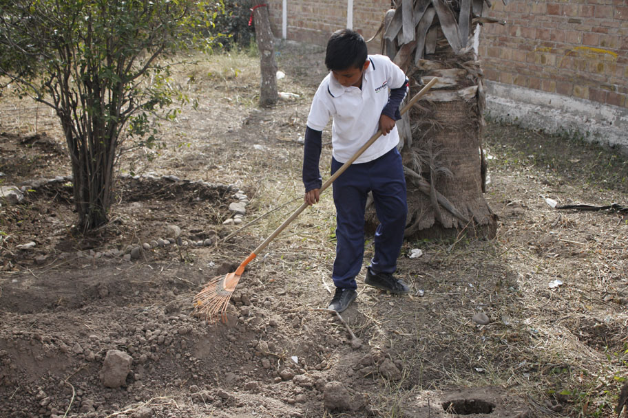 Aulas Verdes para 'cultivar' el aprendizaje - Grupo Milenio