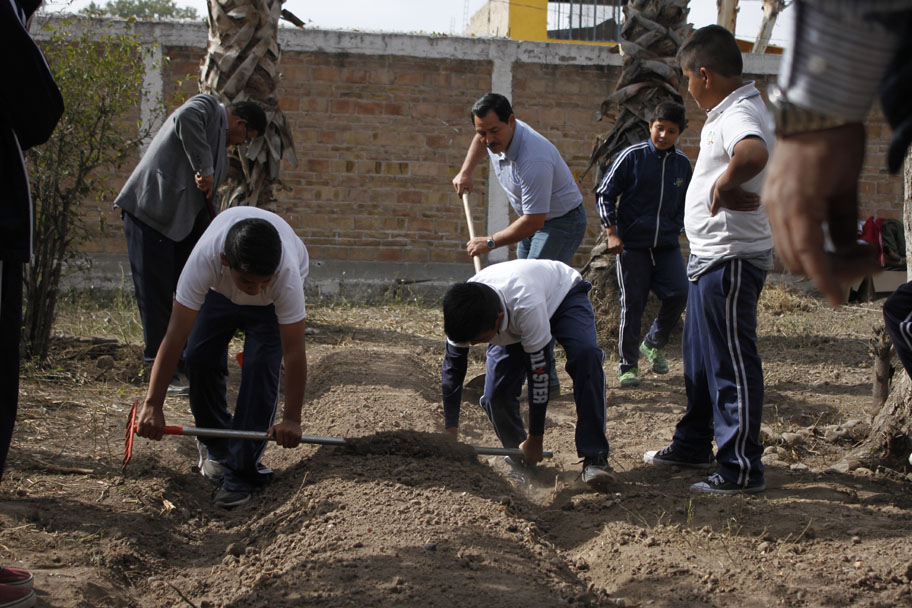 Aulas Verdes para 'cultivar' el aprendizaje- Grupo Milenio