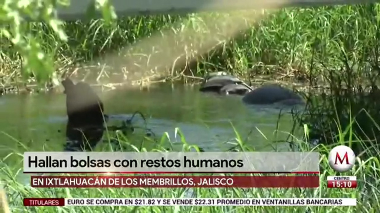 Encuentran bolsas con restos humanos en Ixtlahuacán de los Membrillos - Grupo Milenio