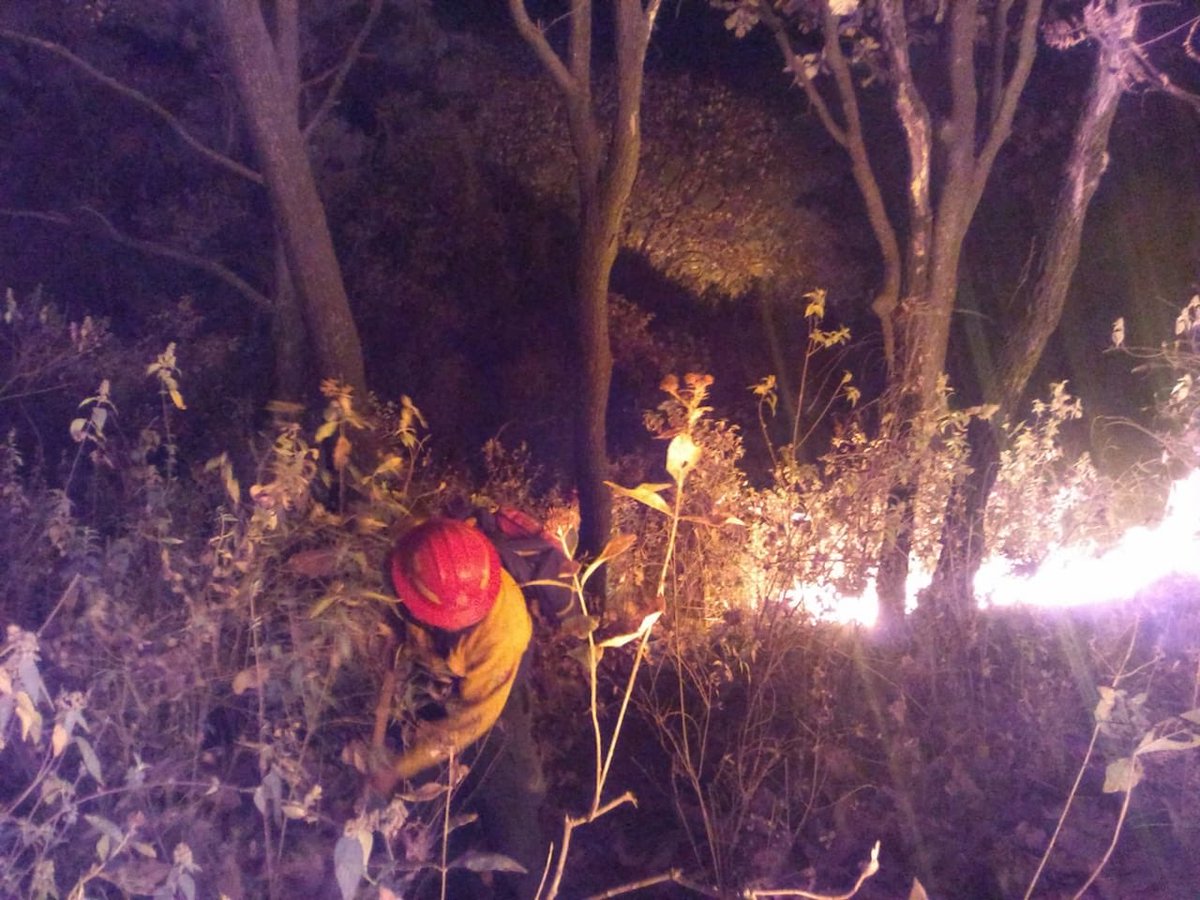 Incendio del bosque La Primavera afecta más de 11 hectáreas- Grupo Milenio